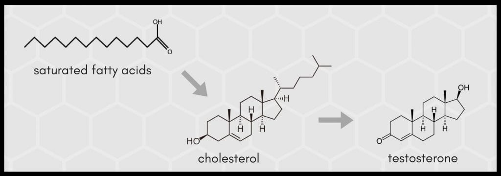 Is cholesterol the forgotten anabolic?