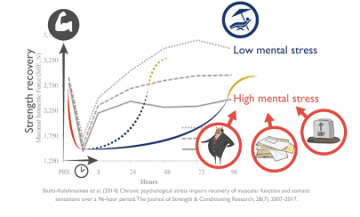 Your optimal training frequency for the glutes: part II