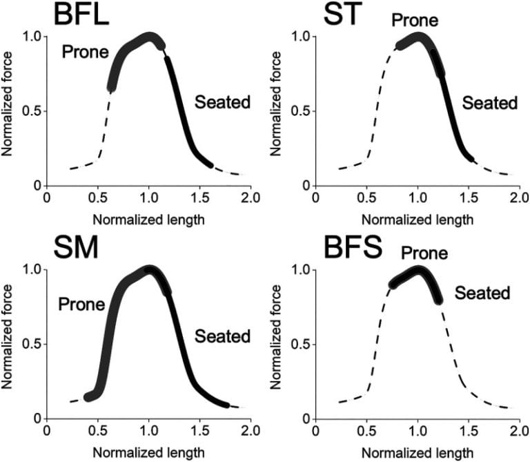 Beyond full ROM: 3 Lessons about stretch-mediated hypertrophy