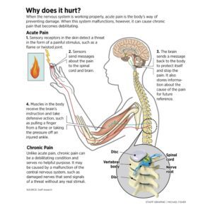 pain science - MennoHenselmans.com