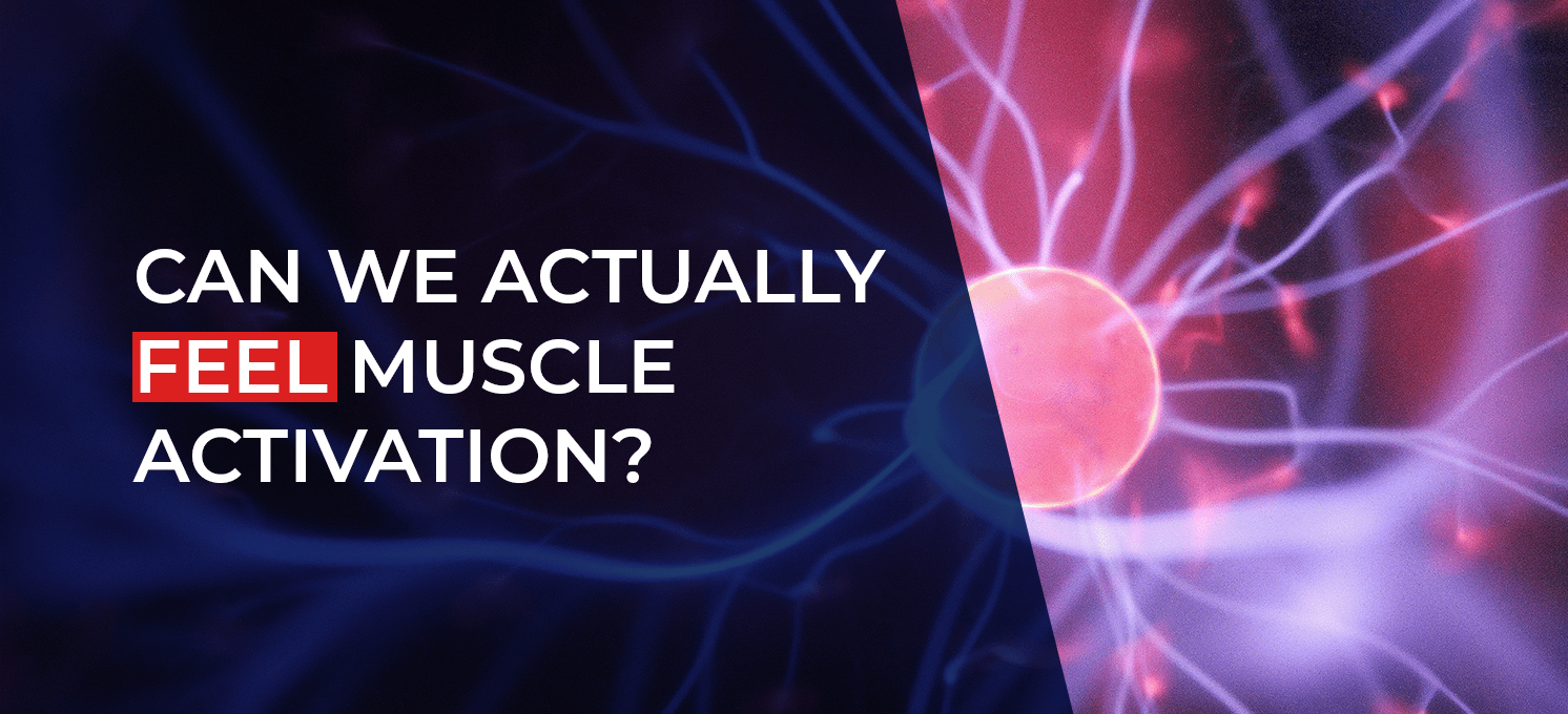 Can we feel muscle activation?
