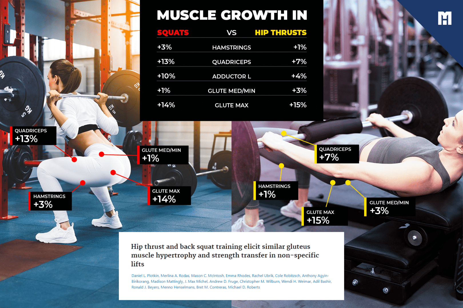 Hip Thrust And Back Squat Training Elicit Similar Gluteus Muscle
